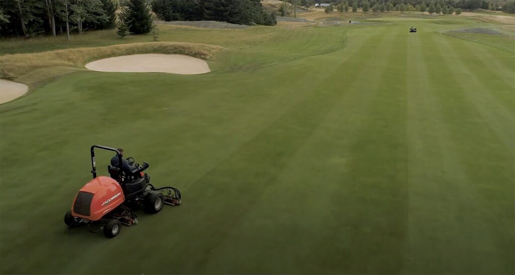 Power Turf | New Zealand’s Leading Turf Care Provider